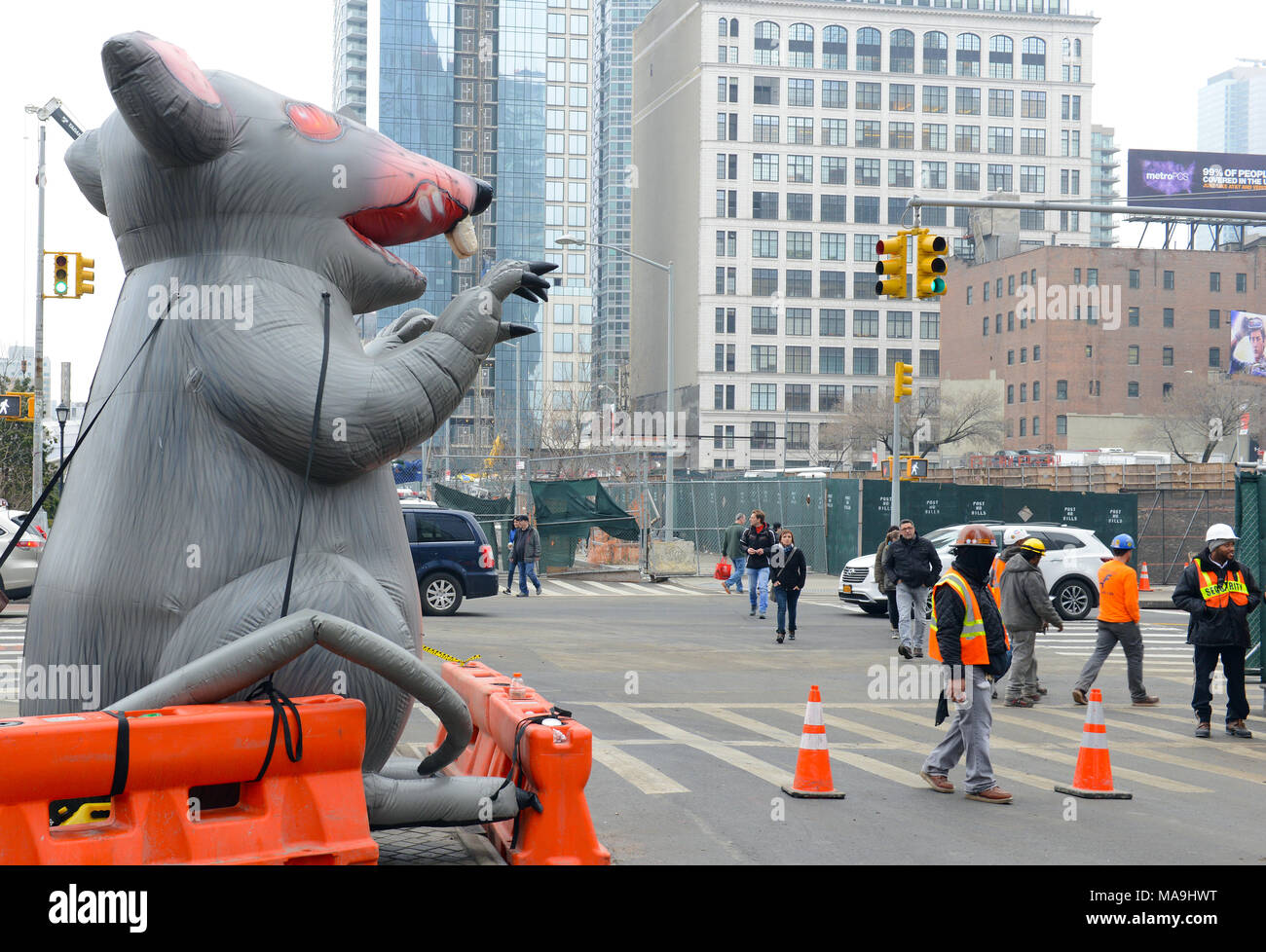 NEW YORK CIRCA MARCH 2018. Inflatable rat known as Scabby the Rat ...
