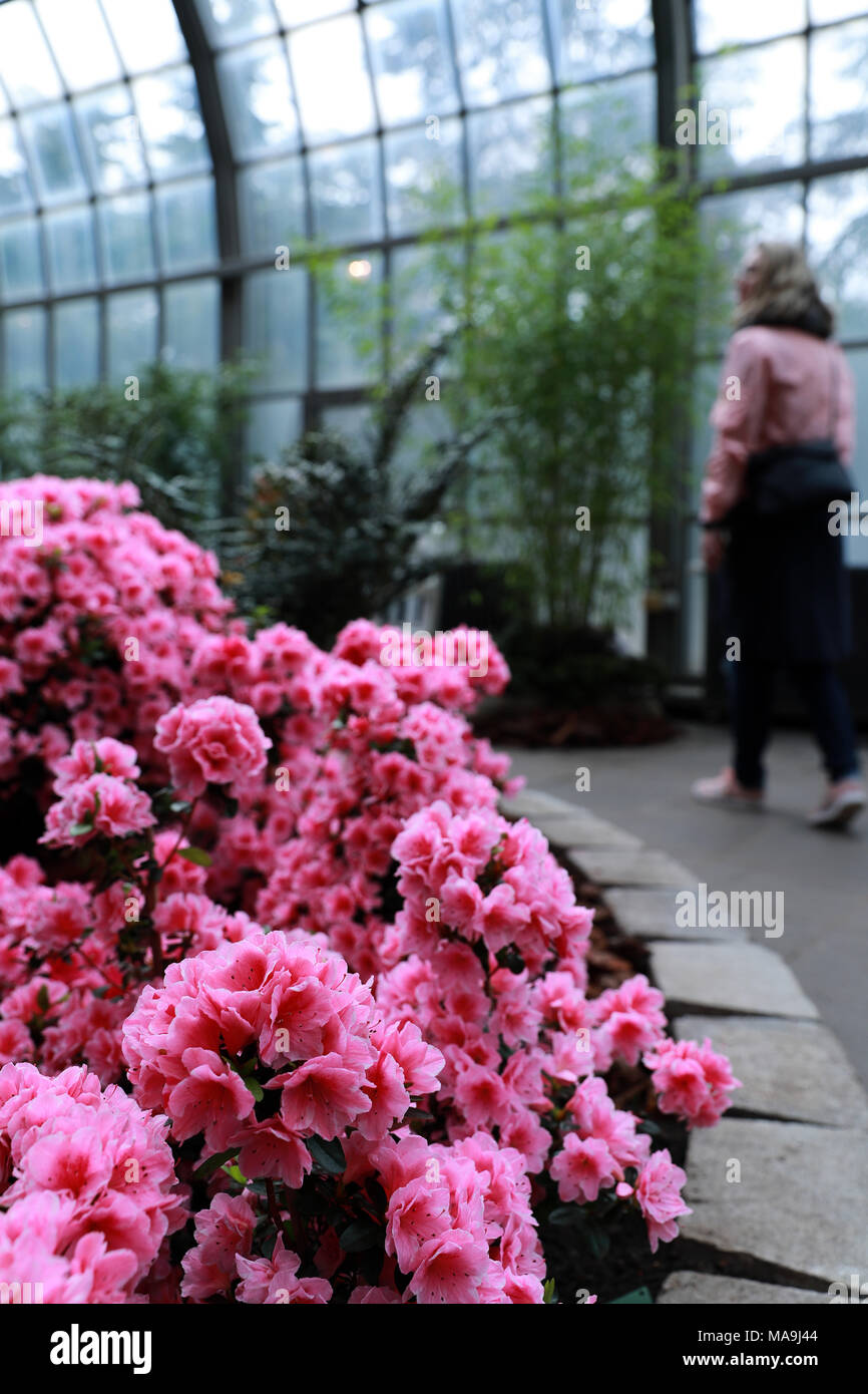 Frankfurt, Germany. 30th Mar, 2018. A woman visits the flower ...