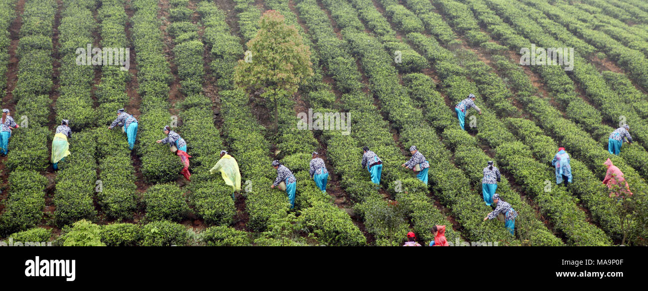 Yongrong hi-res stock photography and images - Alamy