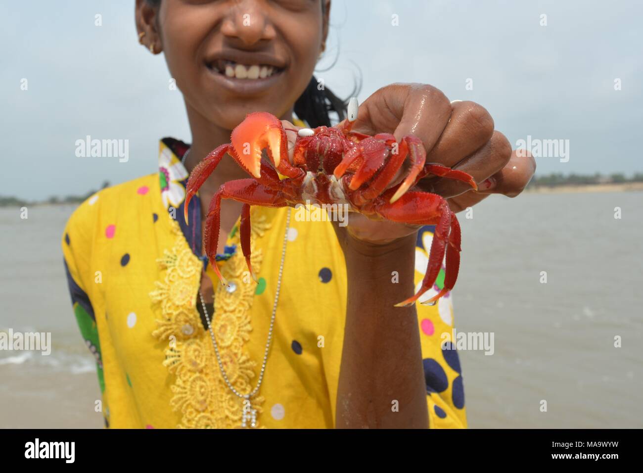 Mandarmani , West Bengal, India. 30th March 2018. Red Crab at ...