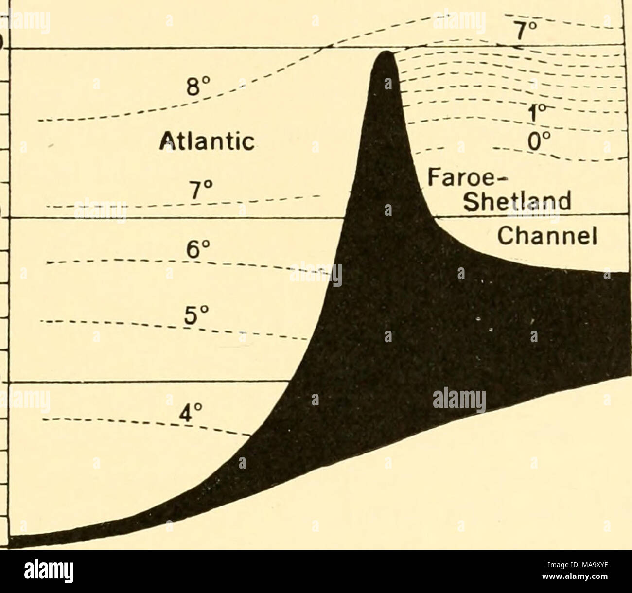 . Ecological animal geography; an authorized, rewritten edition based ...