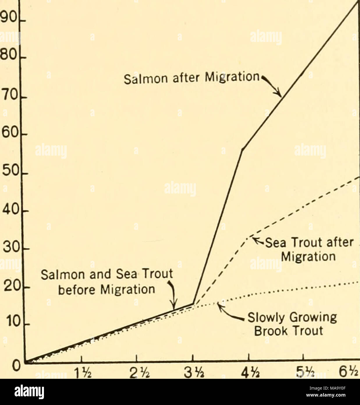 . Ecological animal geography; an authorized, rewritten edition based ...
