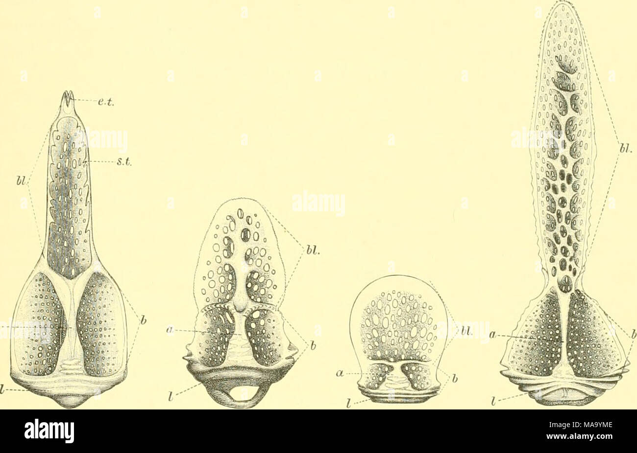 Miill hi-res stock photography and images - Alamy