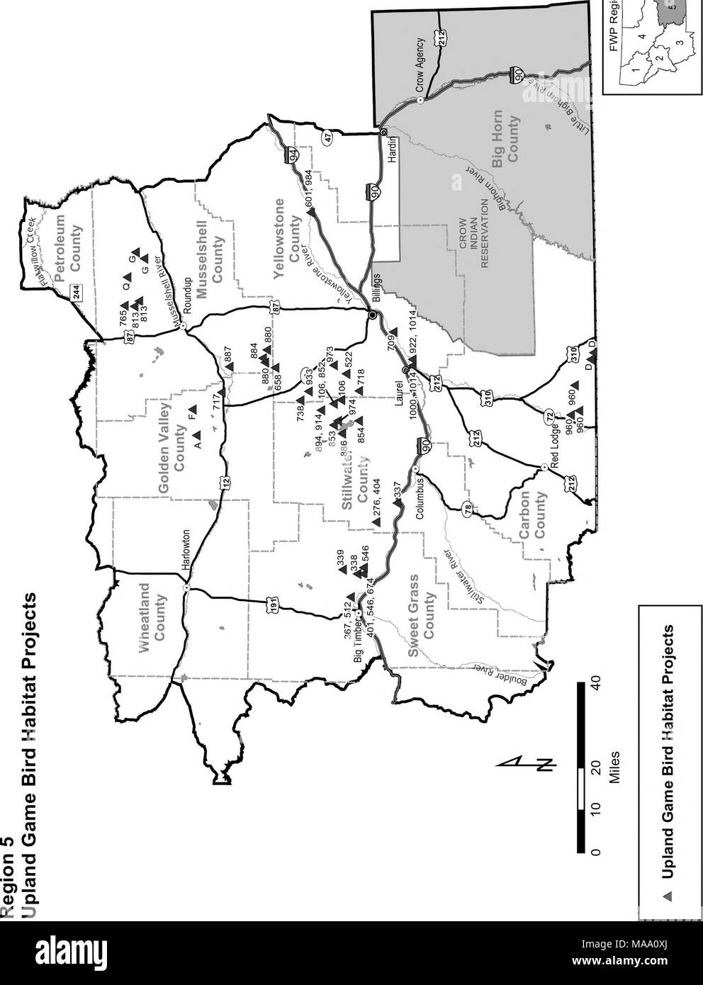 Sustainable bird habitat Black and White Stock Photos & Images - Alamy