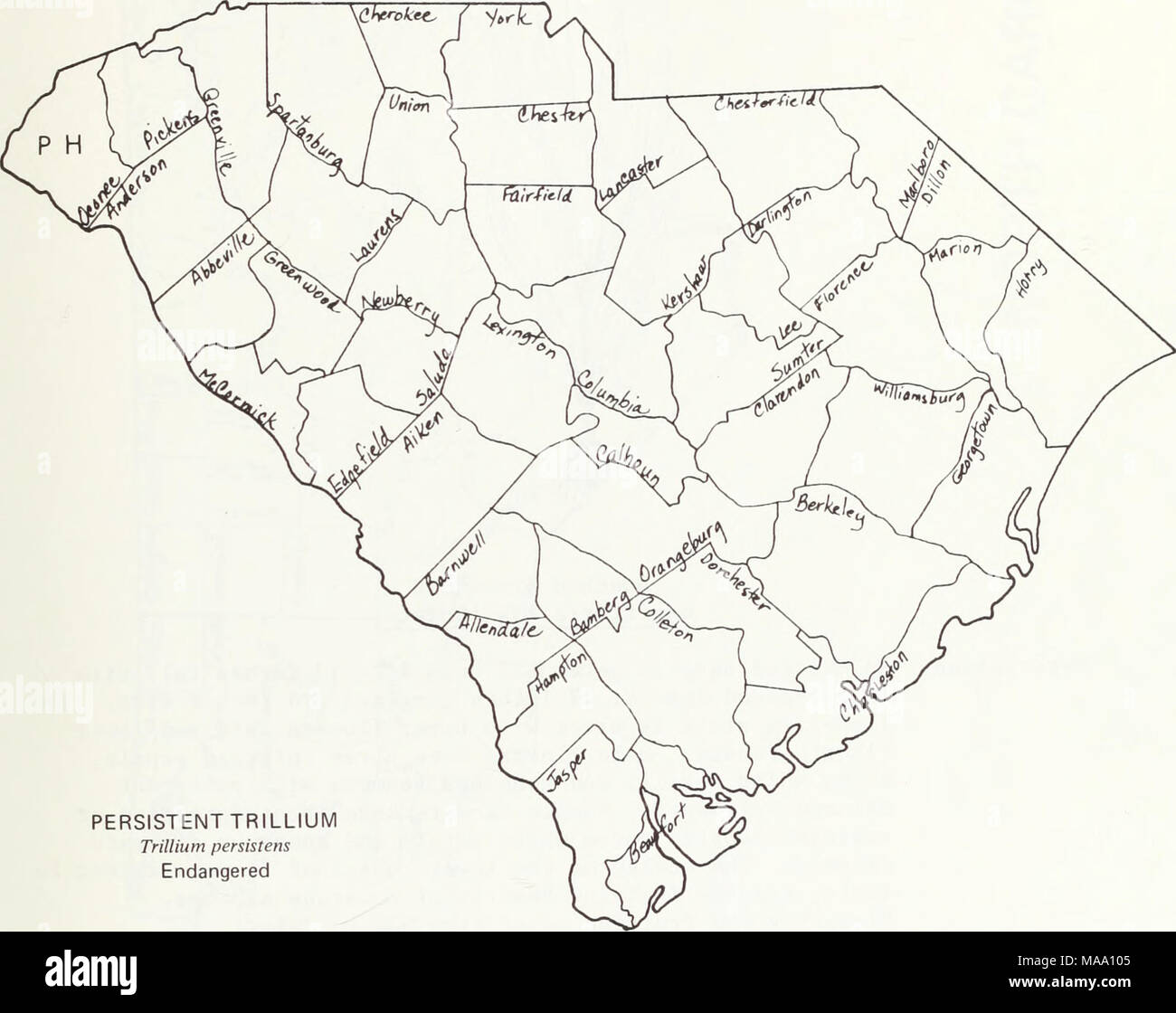 . Eastern states endangered plants . PERSISTENT TRILLIUM Trillium ...