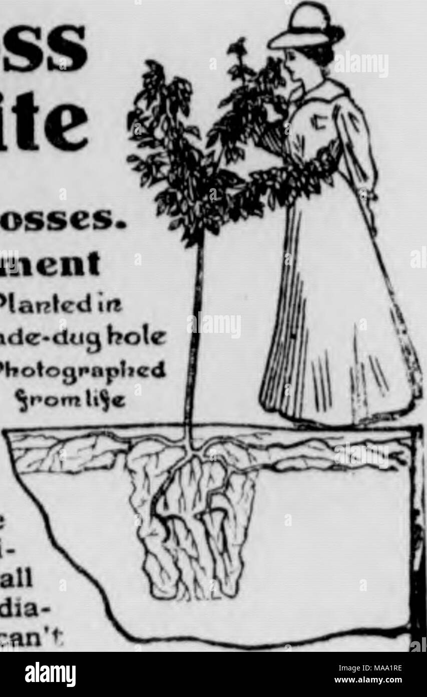 Fruit analysis Black and White Stock Photos & Images - Alamy