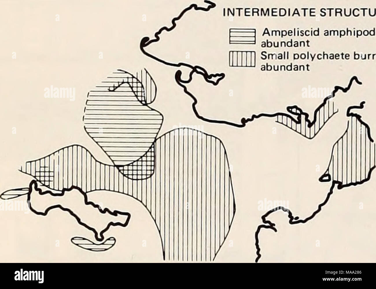 . The Eastern Bering Sea Shelf : oceanography and resources / edited by ...