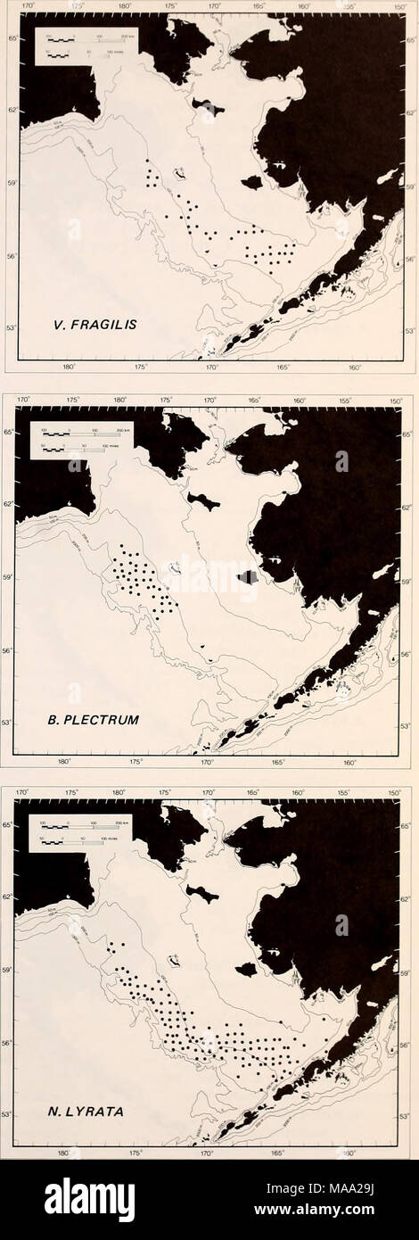 . The Eastern Bering Sea Shelf : oceanography and resources / edited by ...