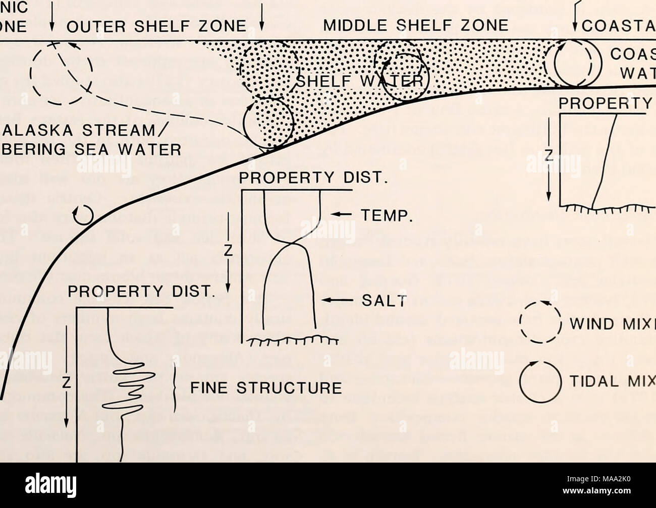 . The Eastern Bering Sea Shelf : oceanography and resources / edited by ...