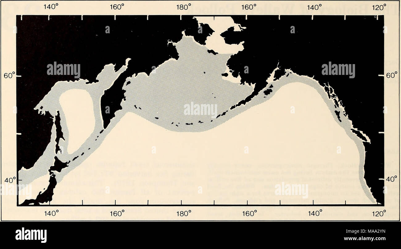 Pacific saffron cod hi-res stock photography and images - Alamy