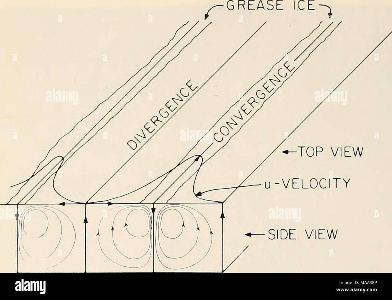 . The Eastern Bering Sea Shelf : oceanography and resources / edited by ...