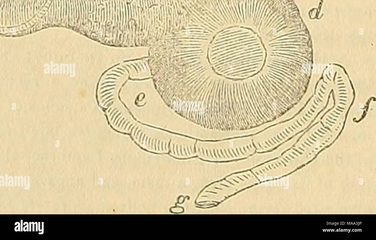 . Edinburgh journal of natural history and of the physical sciences ...