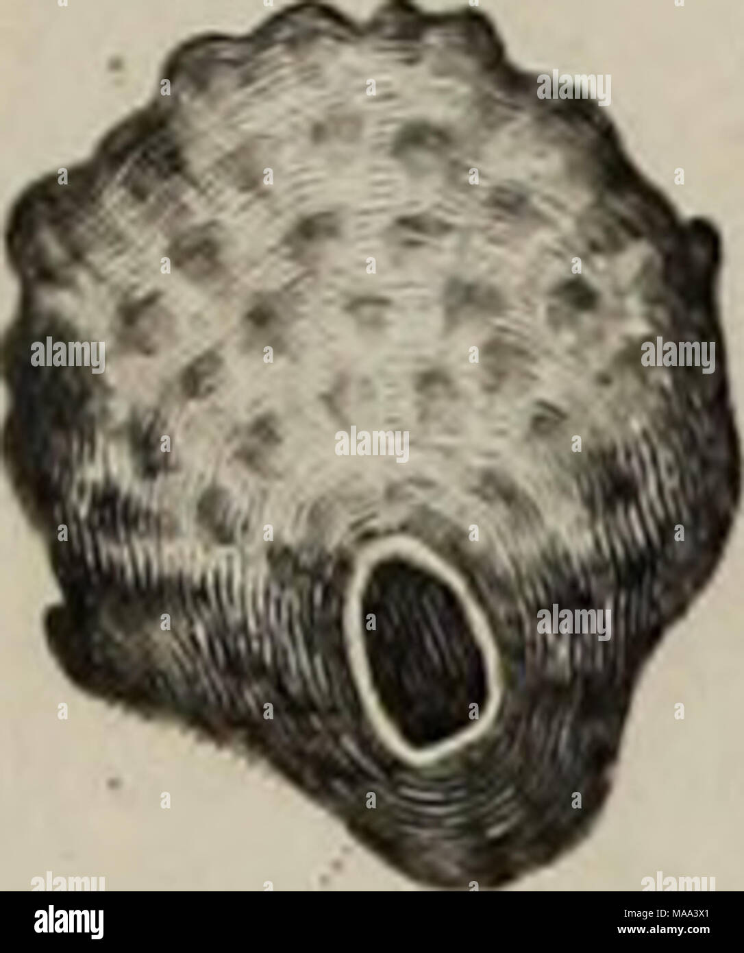 Ify hi-res stock photography and images - Alamy