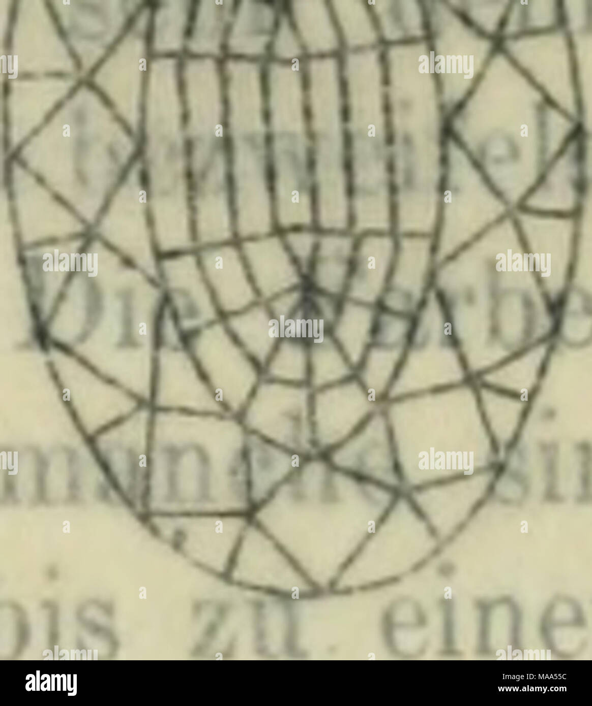 . Edelsteinkunde; eine allgemein verständliche Darstellung der ...