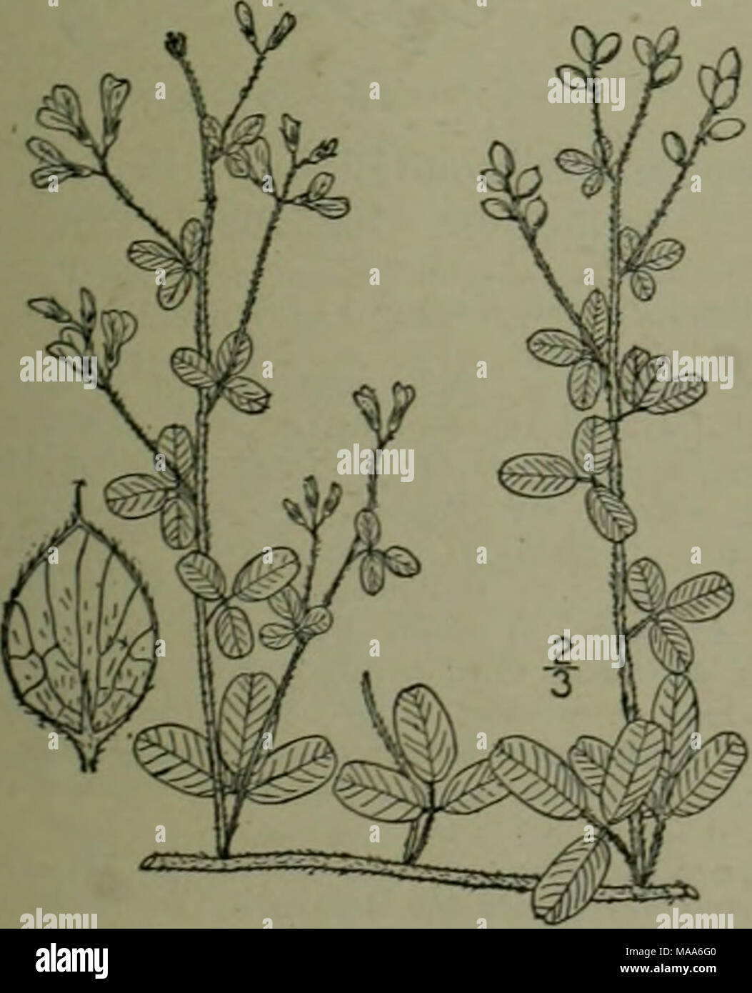 180 meridian hi-res stock photography and images - Alamy