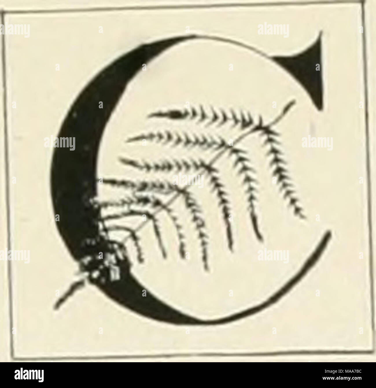 Psychology training horse hi-res stock photography and images - Alamy