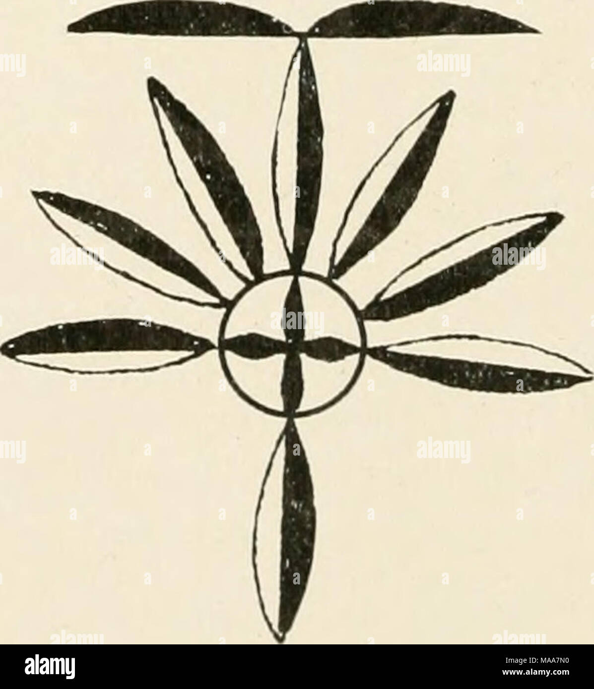 Psychology training horse hi-res stock photography and images - Alamy