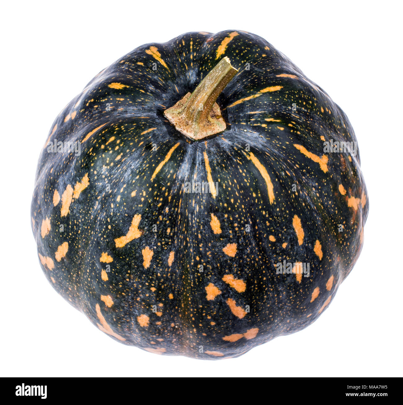 Striped pumpkin on white background. Studio Photo Stock Photo - Alamy