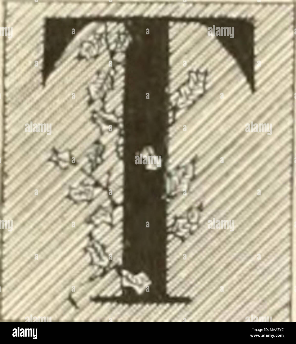 Medium sized objects hi-res stock photography and images - Alamy