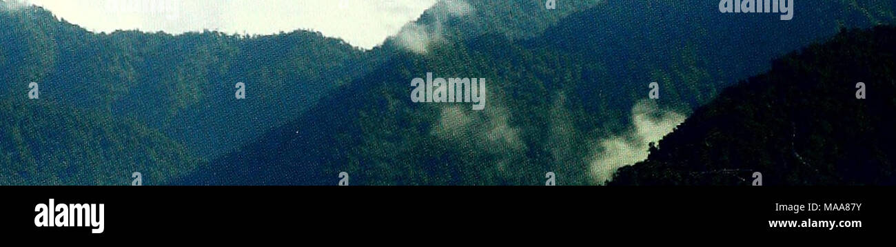 . Ecuador : Cabeceras Cofanes-Chingual Stock Photo - Alamy