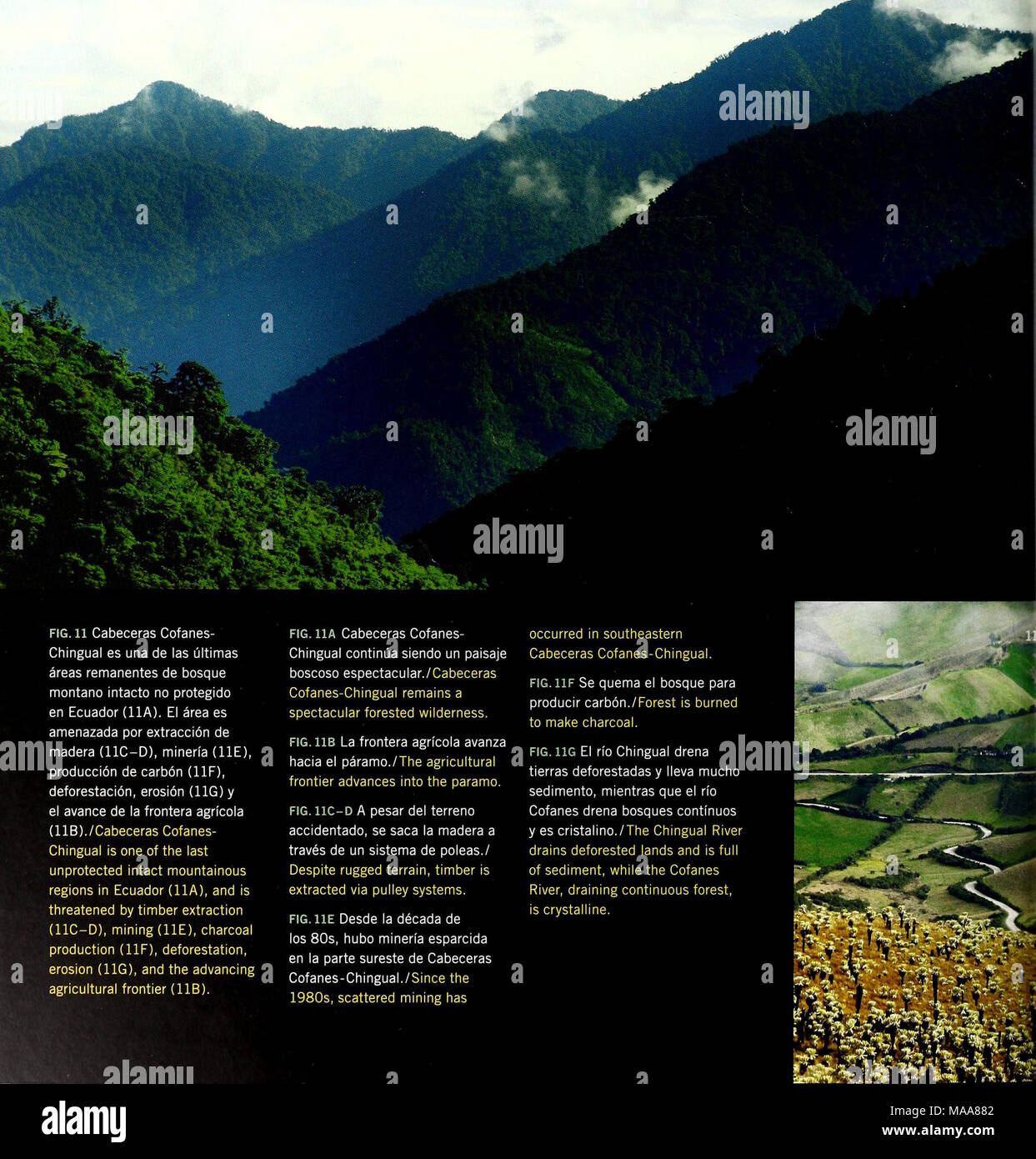 . Ecuador : Cabeceras Cofanes-Chingual Stock Photo - Alamy