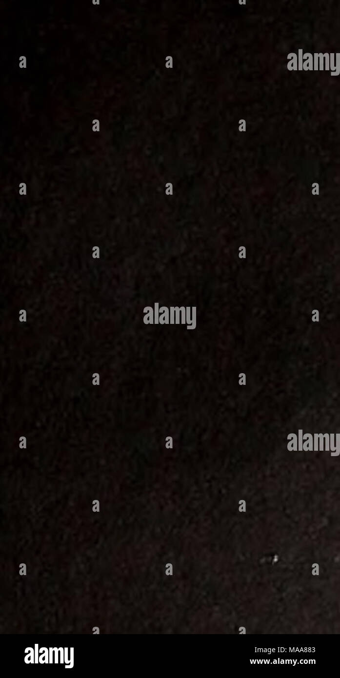 Cofanes hi-res stock photography and images - Alamy