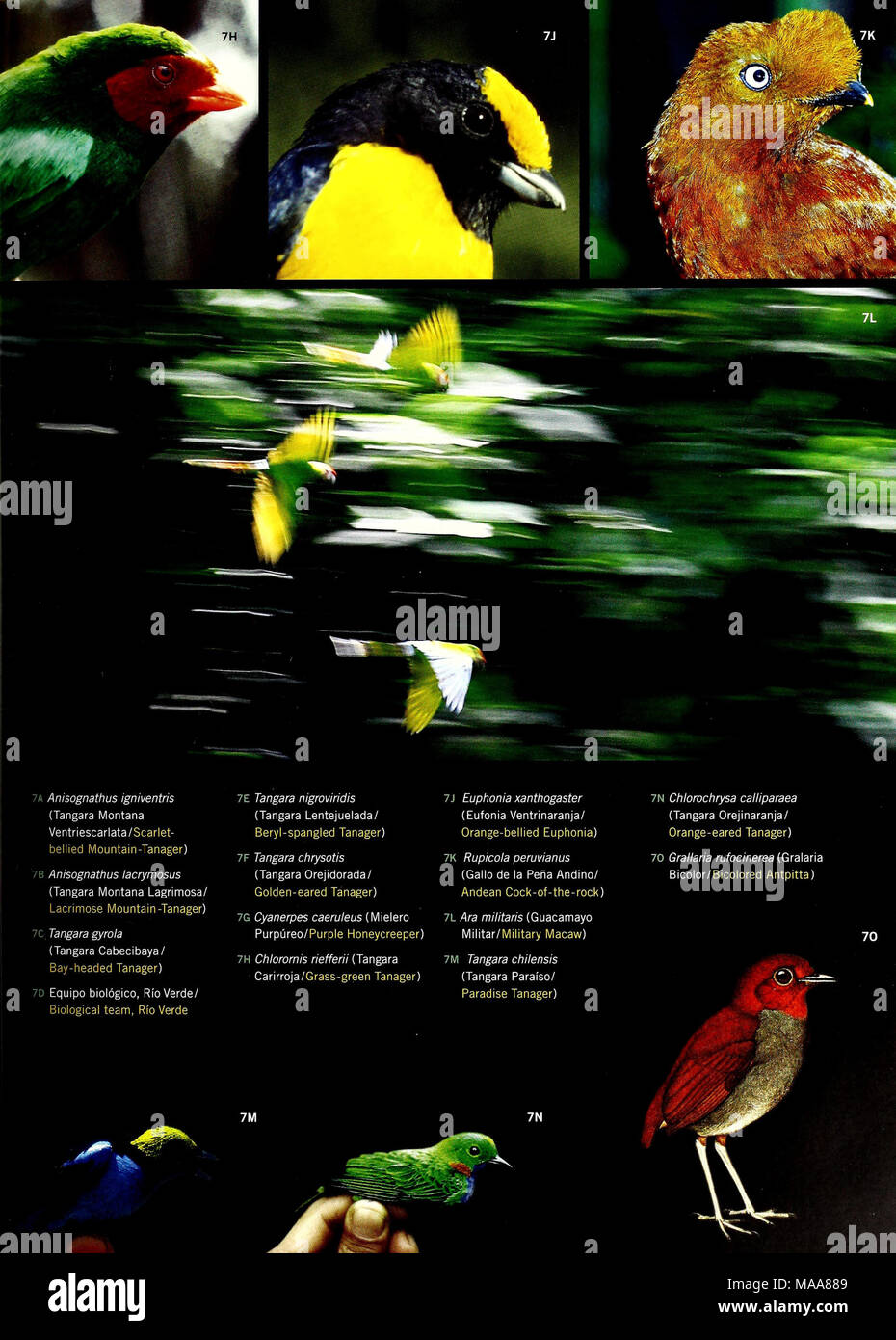 . Ecuador : Cabeceras Cofanes-Chingual Stock Photo - Alamy