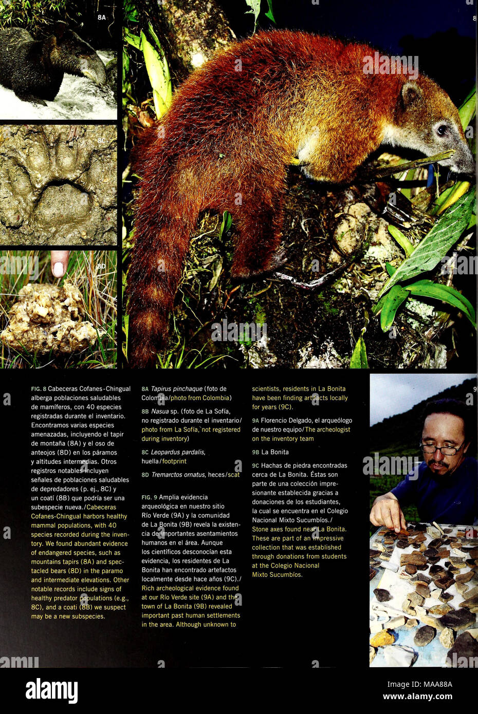 . Ecuador : Cabeceras Cofanes-Chingual Stock Photo - Alamy