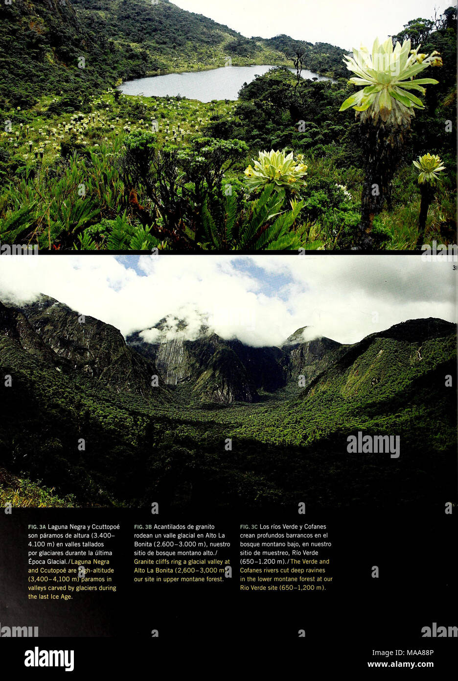 . Ecuador : Cabeceras Cofanes-Chingual Stock Photo - Alamy