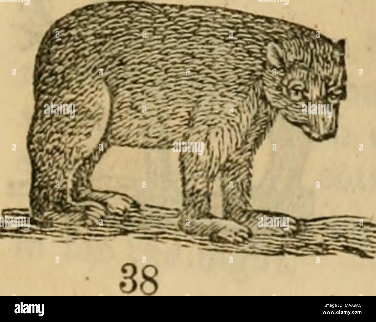 . The educated horse : teaching horses and other animals to obey at ...