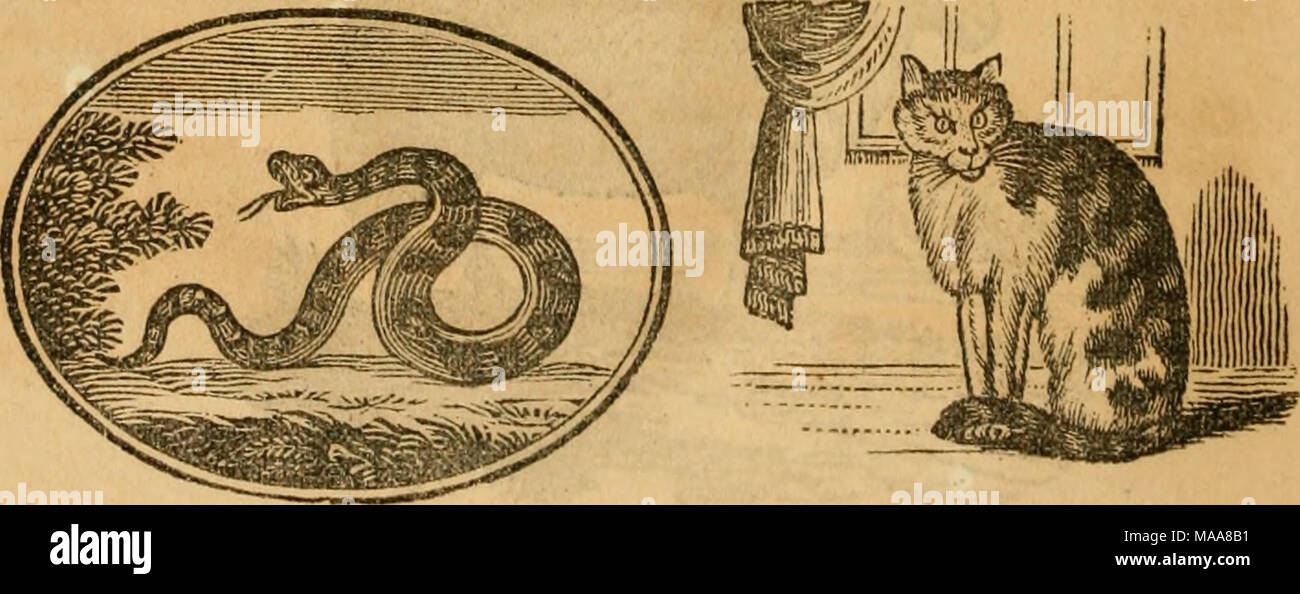 . The educated horse : teaching horses and other animals to obey at ...