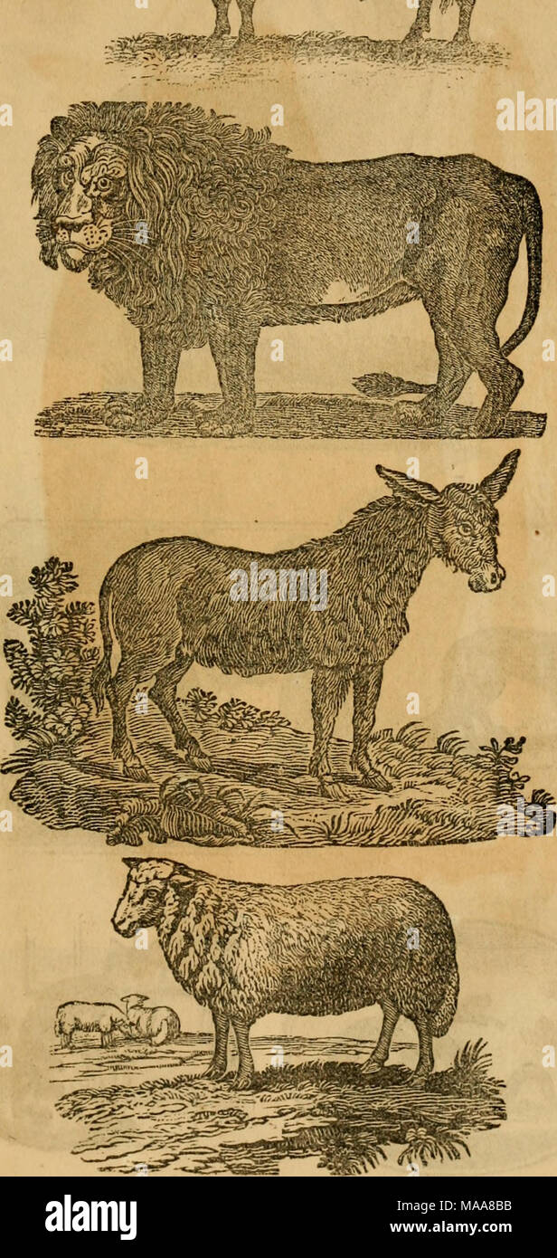 . The educated horse : teaching horses and other animals to obey at ...