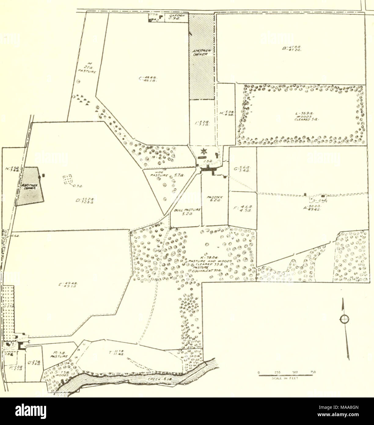 Small Horse Farm Layout