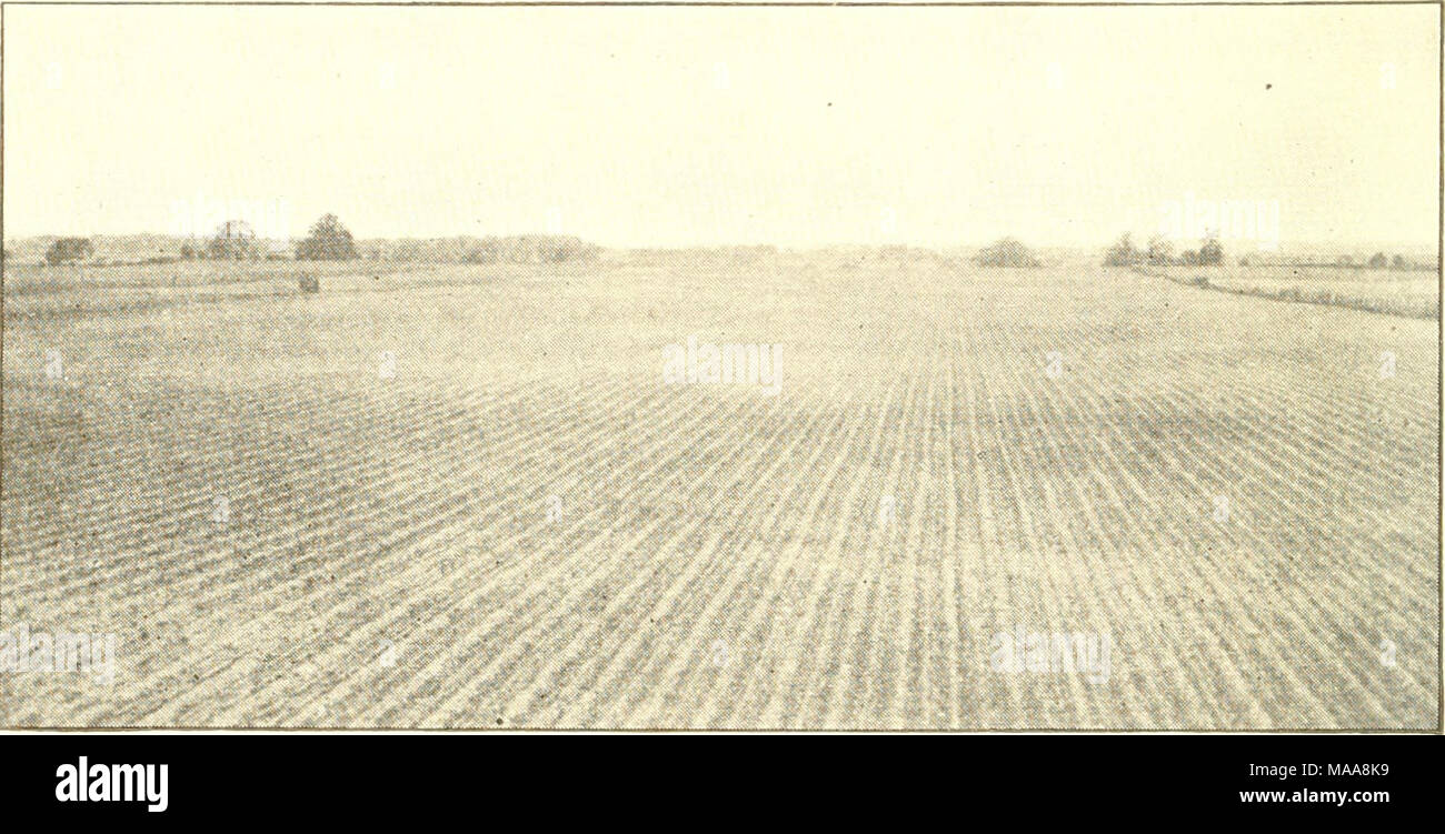 . An economic study of farm layout .. . Fig. 88. a larue rectangular ...