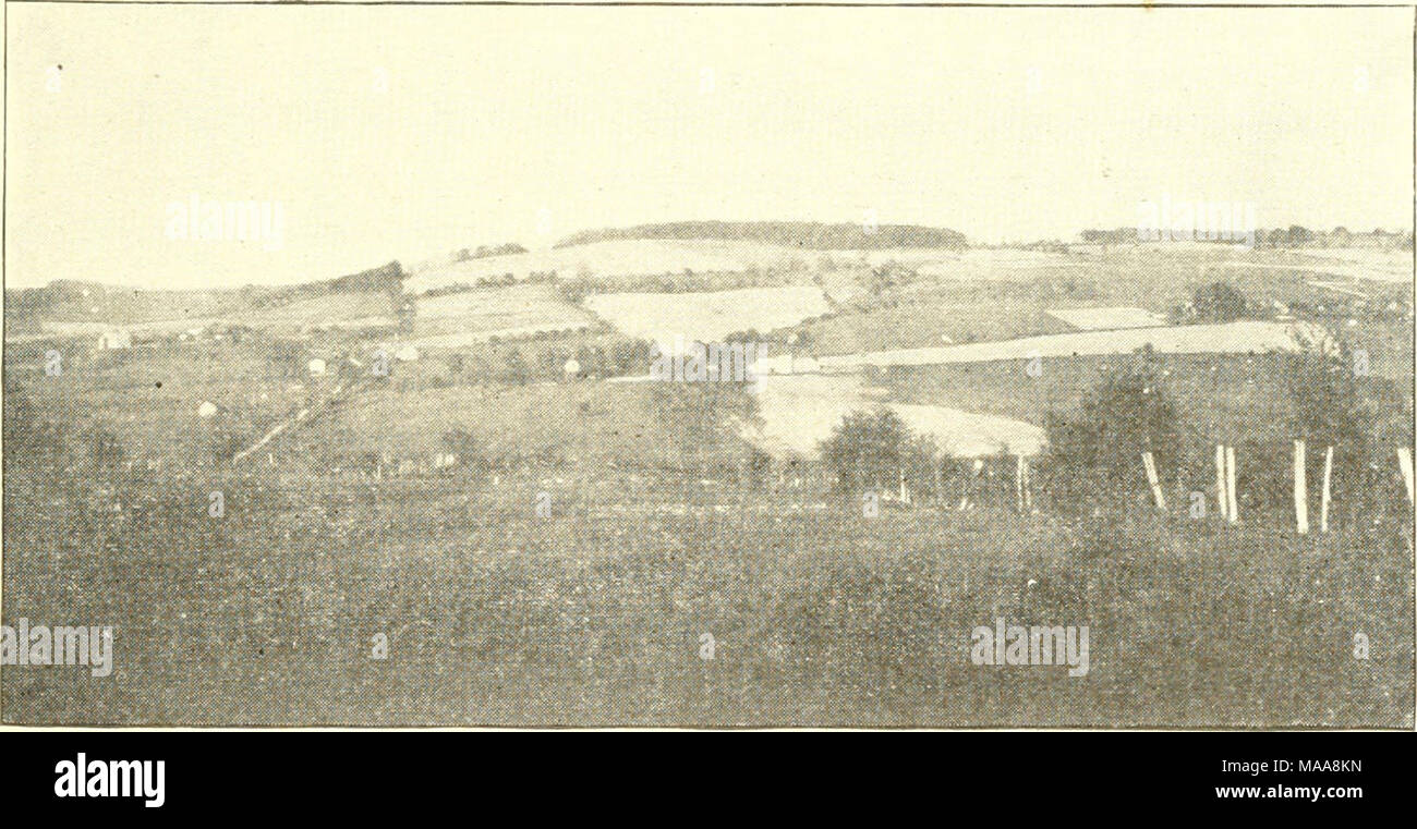 Triangular Fields High Resolution Stock Photography and Images - Alamy