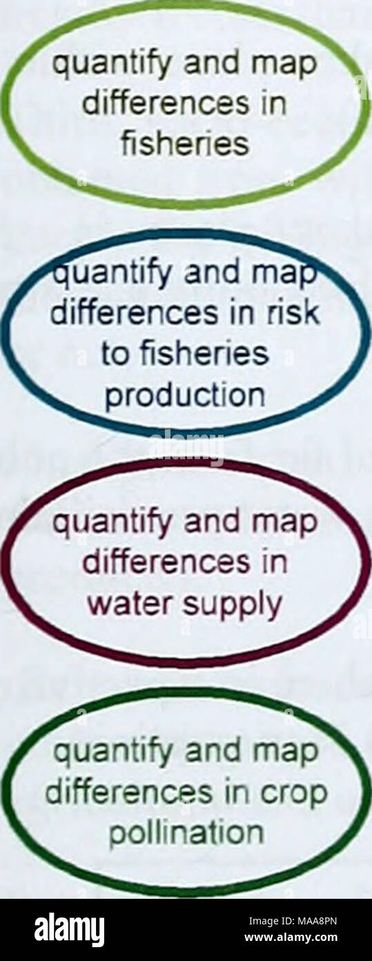 . The economics of biodiversity loss: Scoping the science . f ...