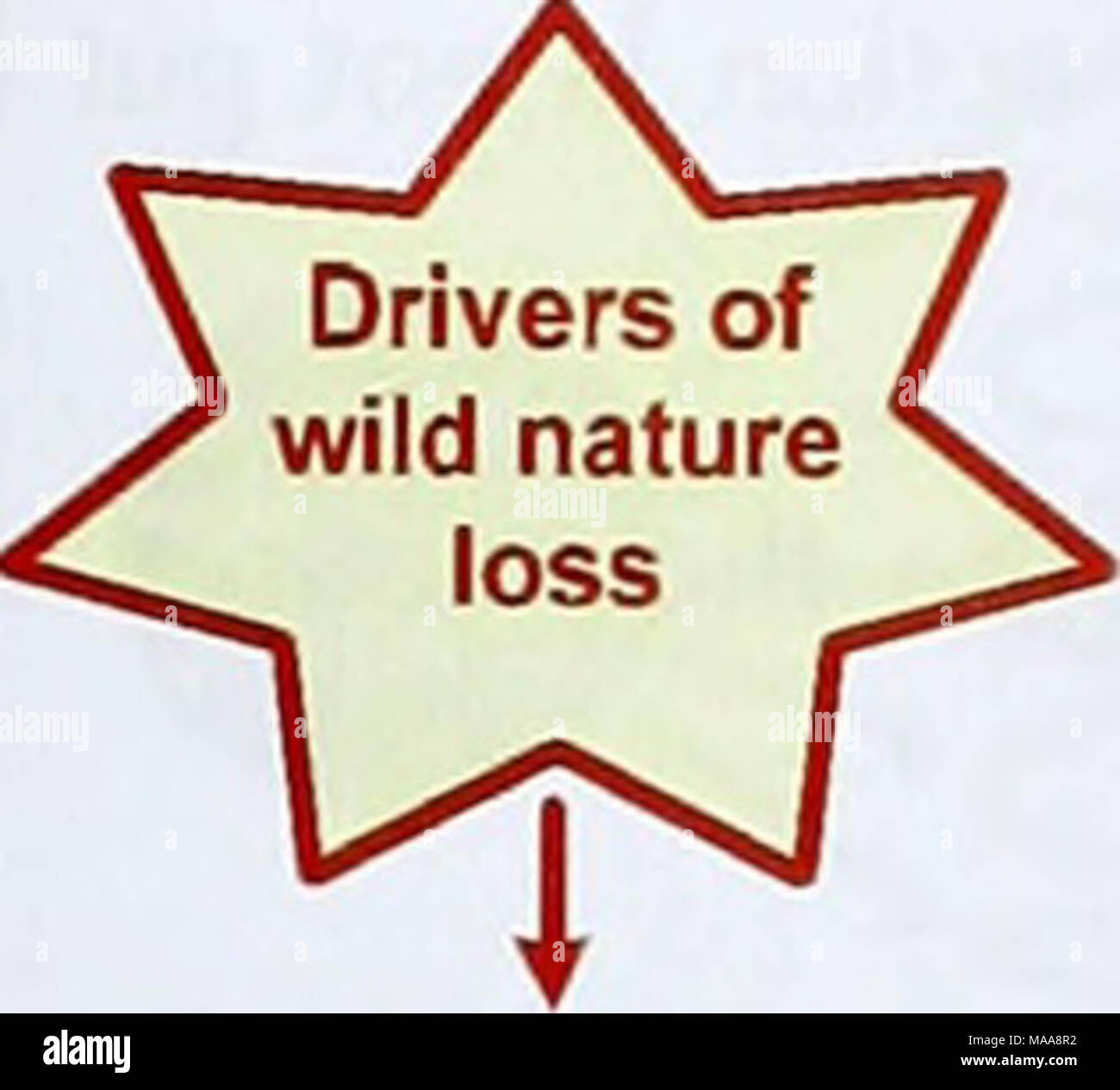 Biodiversity losses hi-res stock photography and images - Alamy