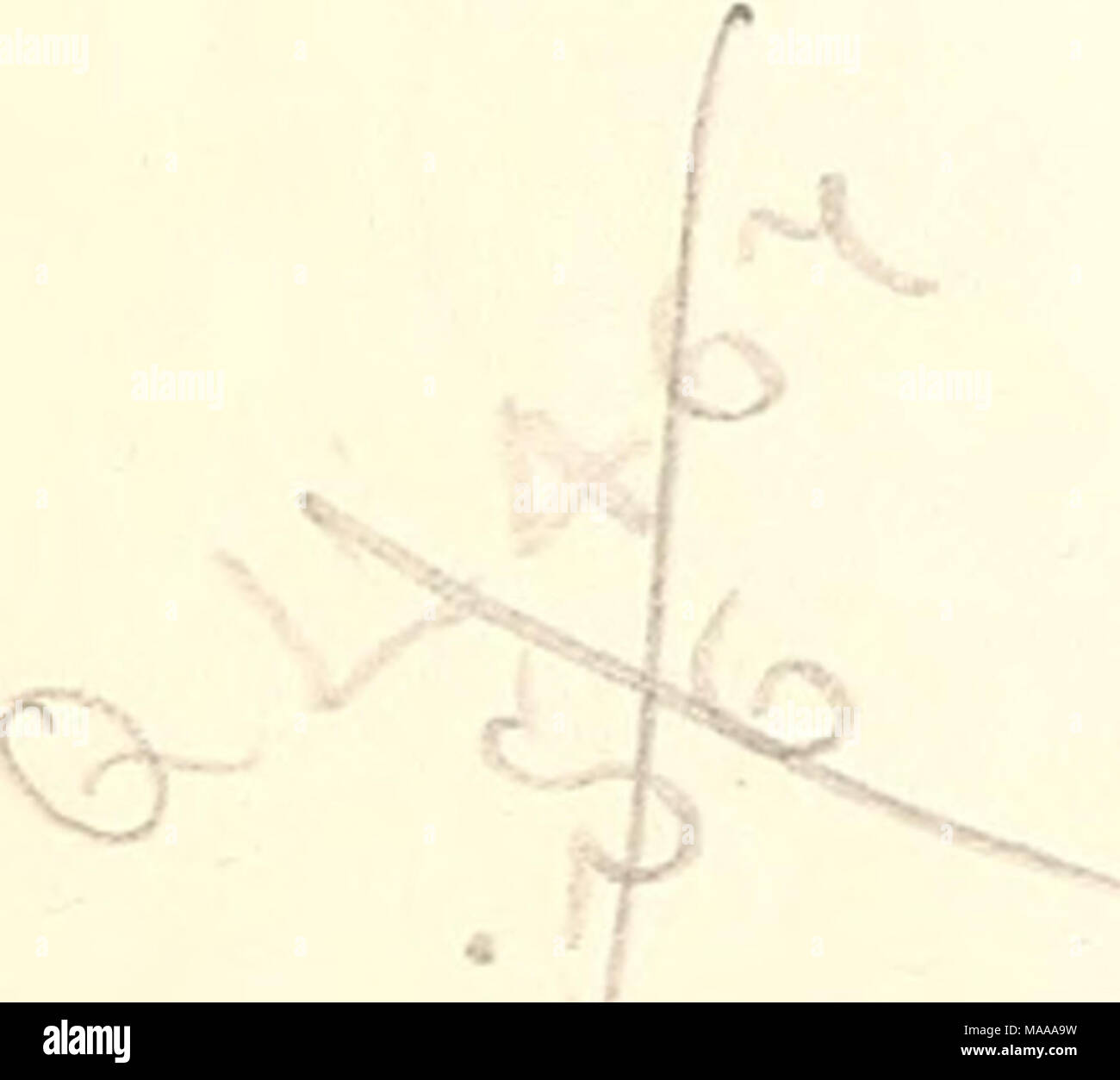 . Economic entomology for the farmer.. . Electrotyped and Printed by J ...