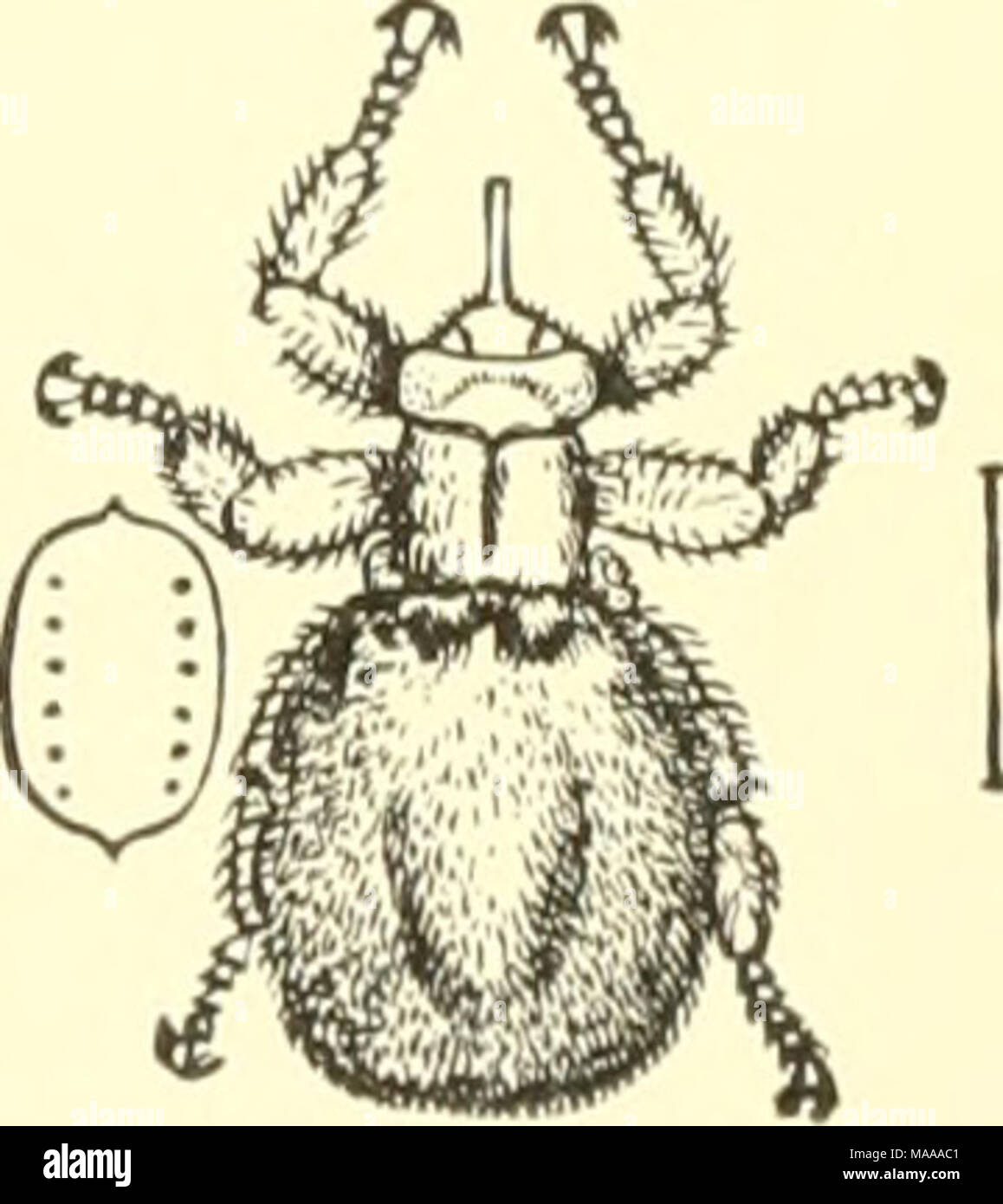 . Economic entomology for the farmer and the fruit grower, and for use ...
