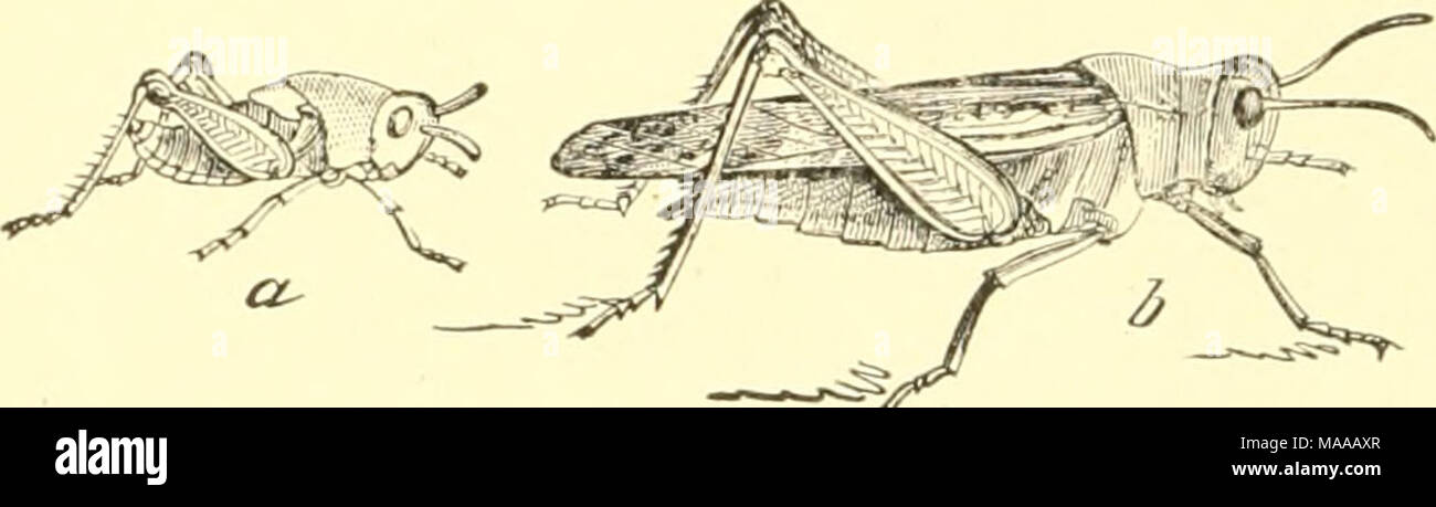 Obtuse angles hi-res stock photography and images - Alamy