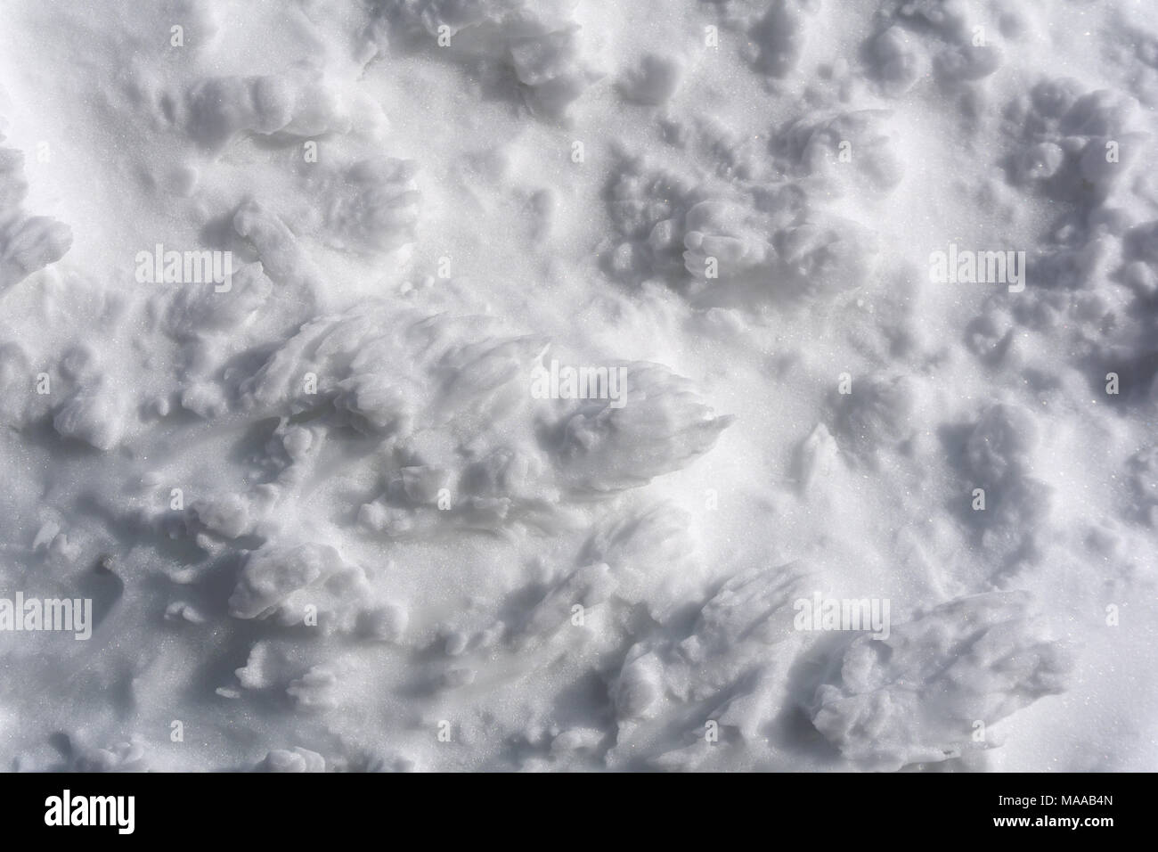 background, texture - bumpy white surface of mountain firn (hard caked ...