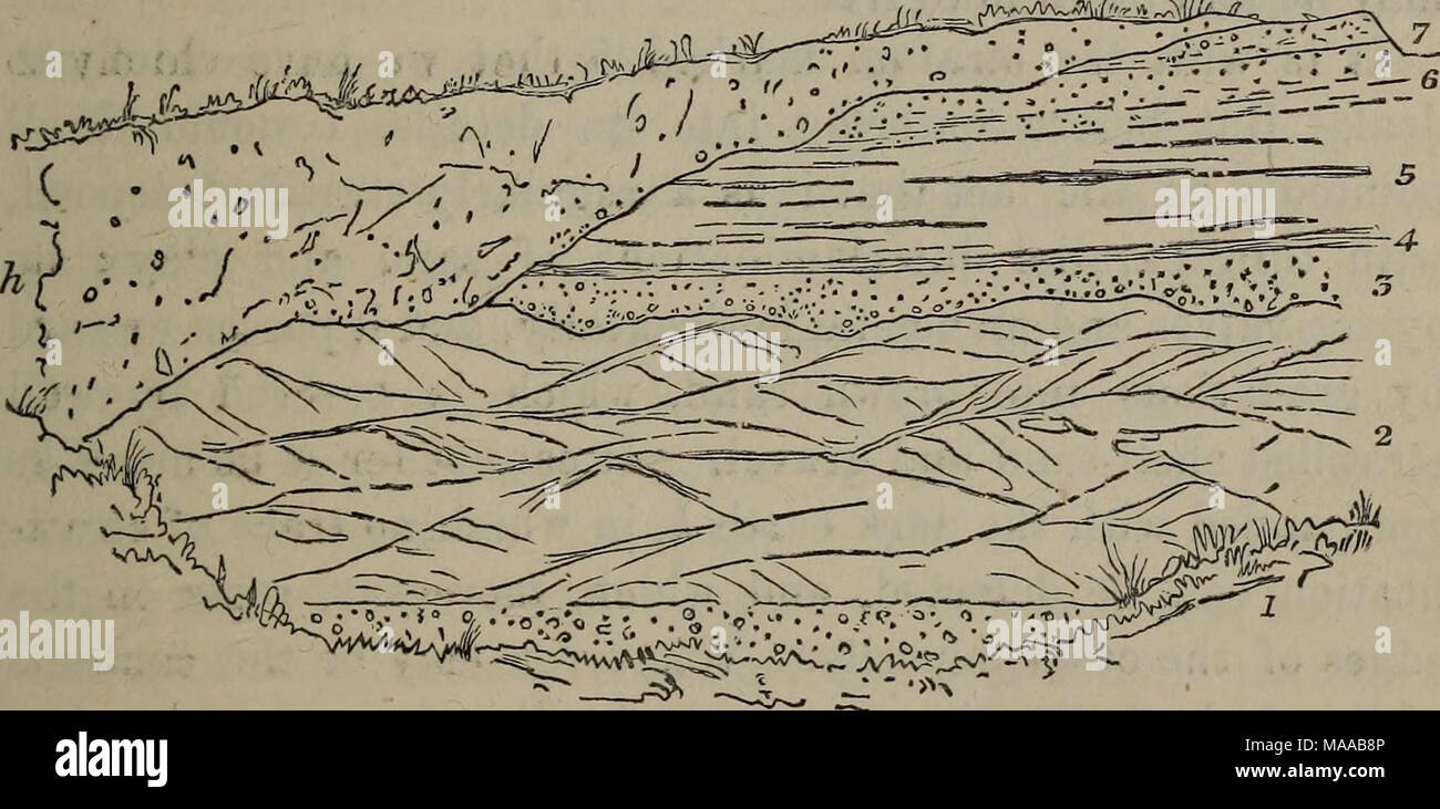 Ferruginous soil hi-res stock photography and images - Alamy