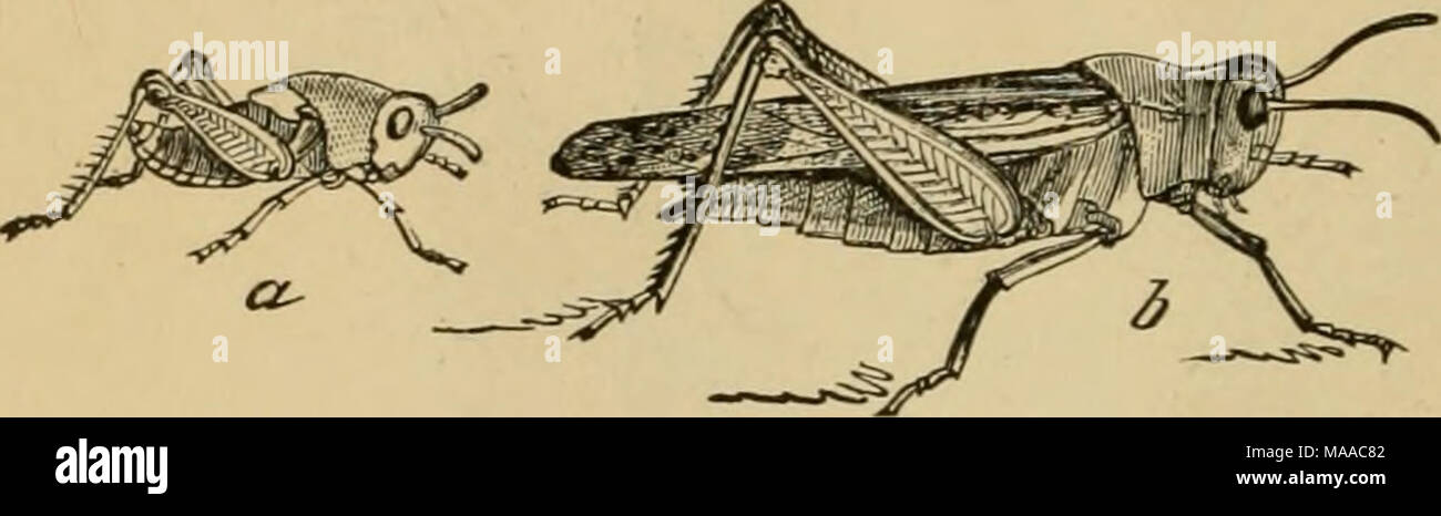 Obtuse angles hi-res stock photography and images - Alamy