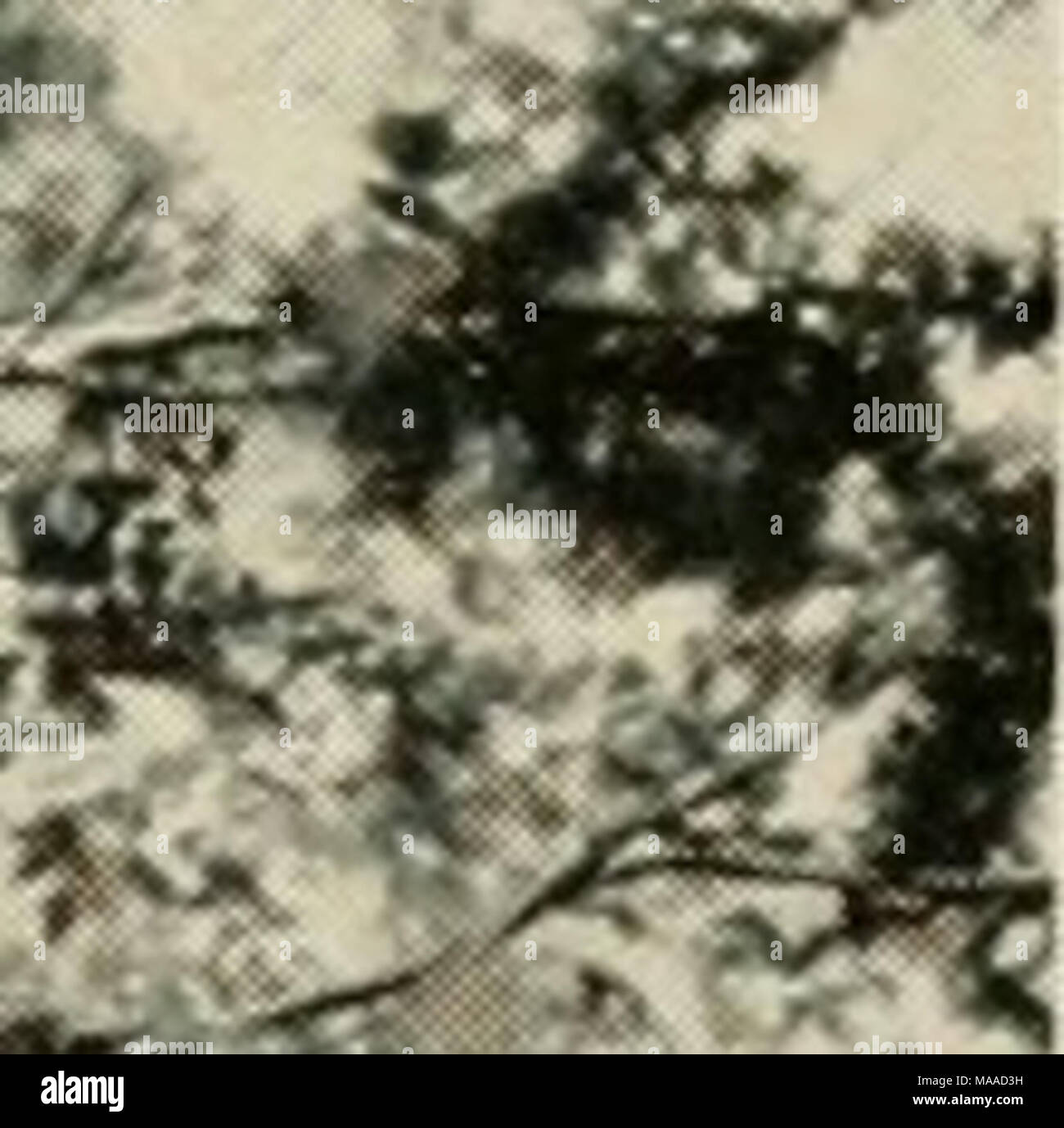 30 foot diameter hi-res stock photography and images - Alamy