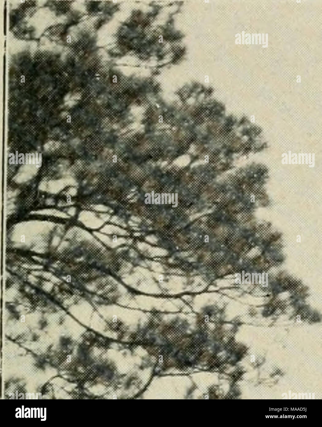 32 feet tall hi-res stock photography and images - Alamy