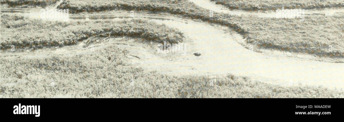 Tidal flushing hi-res stock photography and images - Alamy