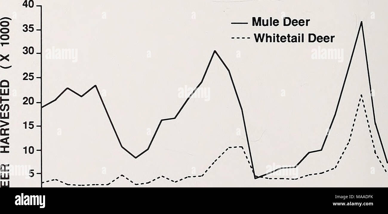 . Ecology of sympatric populations of mule deer and white-tailed deer ...