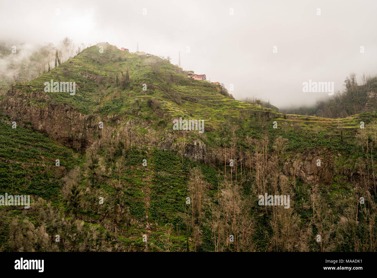 Terraced fields farming madeira hi-res stock photography and images - Alamy