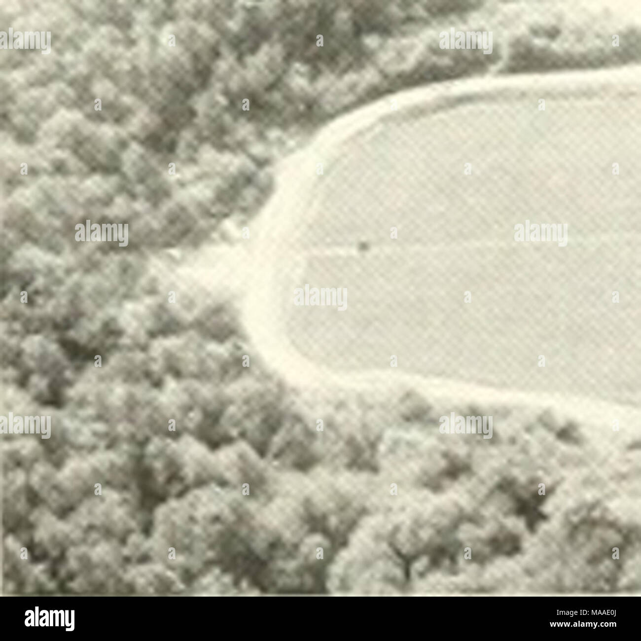 . Ecology of Buzzards Bay : an estuarine profile . "> Fig. 5.1. Aerial ...