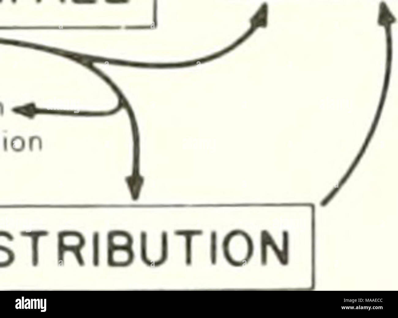 Microbial succession hi-res stock photography and images - Alamy